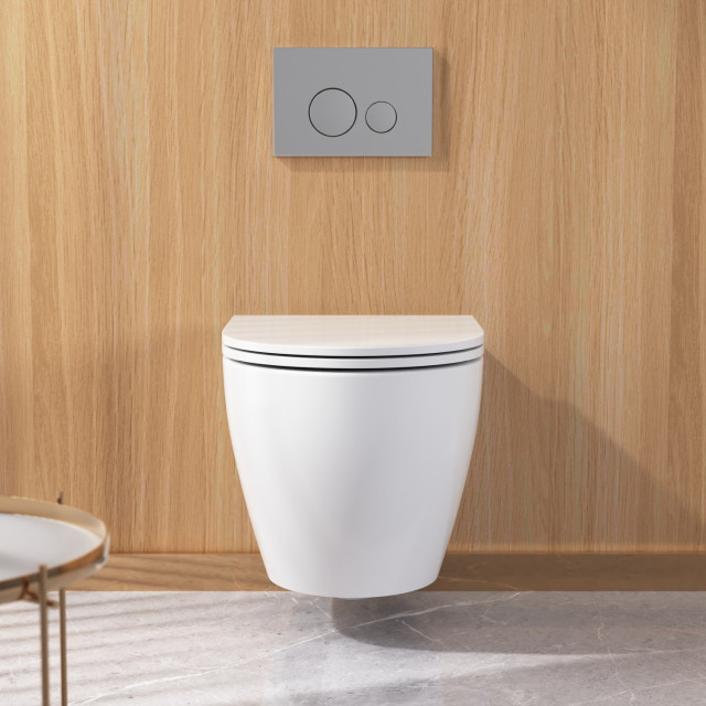 Elongated Wall Mounted Toilet With Concealed In-Wall Toilet Tank ...