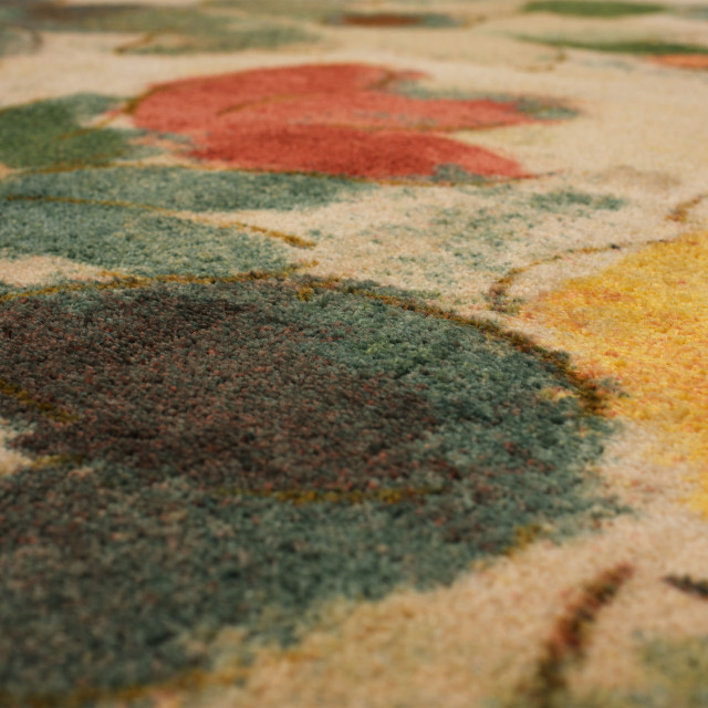 Wildflower Light Multi Rug, 8'x10' - Contemporary - Area Rugs - by ...