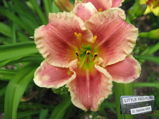 from garden Clint Barnes garden tour with COHS