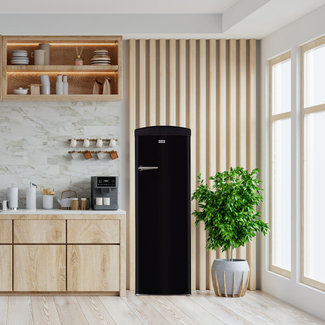 24" 11 cu.ft. Classic Retro Frost-Free Single Door Refrigerator ...