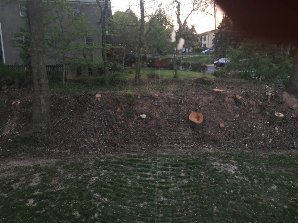 Sloped backyard landscaping input