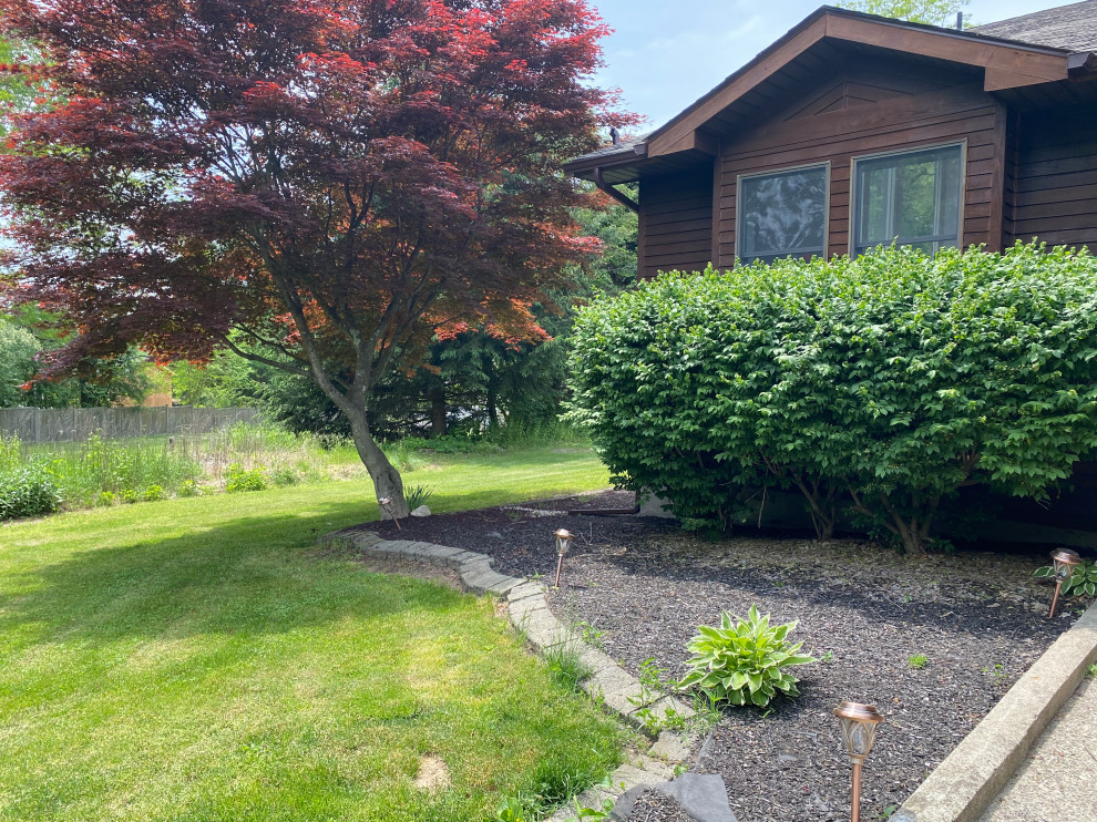 Can anyone help me with landscaping mock-up or advice?