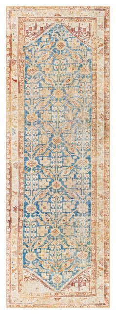 Iris IRS-2364 Area Rug, 2'6"x7'6" - Mediterranean - Hall And Stair ...