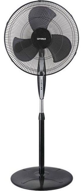 Optimus Oscillating Stand Fan with Remote, Black - 18 in., 18 in ...