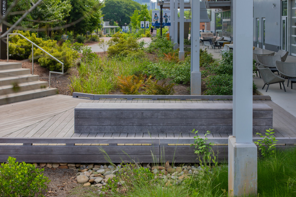 Georgia Tech Kebony Deck and Bridge - Modern - Landscape - Atlanta - by ...