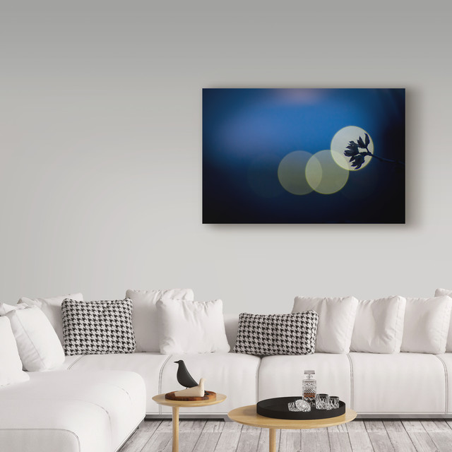 Kouji Tomihisa 'Hikari' Canvas Art, 32"x22" - Contemporary - Prints And Posters - by Trademark ...
