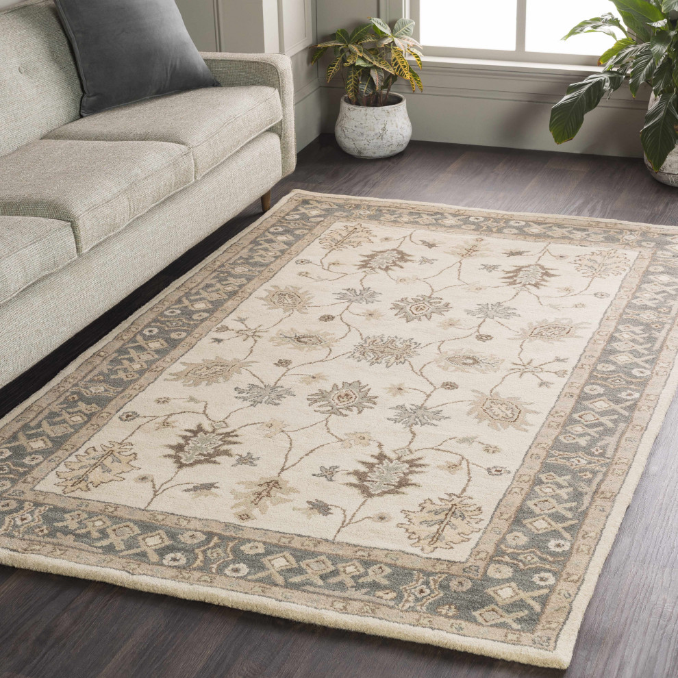Schenevus, 4' x 6' - Traditional - Area Rugs - by Hauteloom | Houzz
