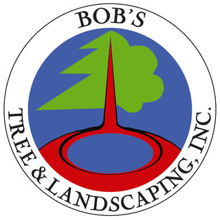BOB'S TREE & LANDSCAPING - Project Photos & Reviews - Camp Verde, AZ US ...