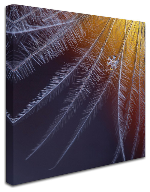 Elena Solovieva 'Ice And Flame' Canvas Art, 24"x 24" - Contemporary ...