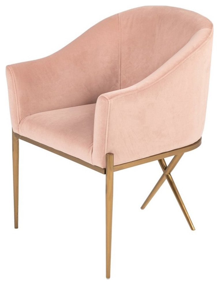 Limari Home Mancos 19.5" Velvet & Stainless Steel Accent Chair in Pink ...