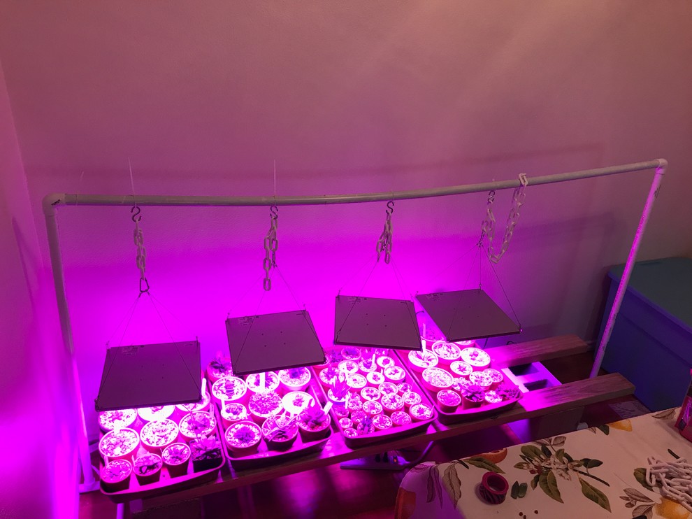 New indoor light set-up