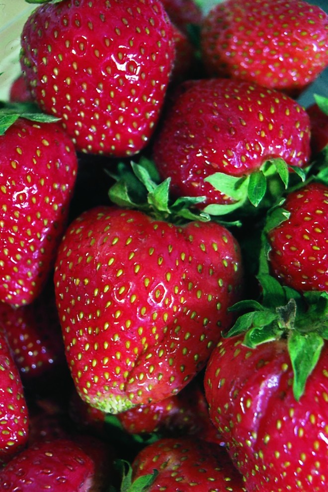 8 Delicious Strawberry Varieties to Grow at Home