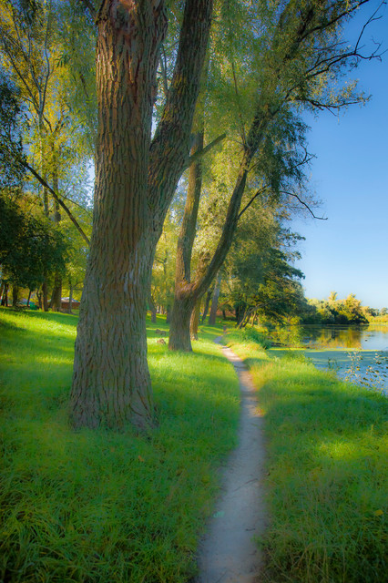 Riverside Path 2, Canvas Giclee, 8"x12" - Contemporary - Prints And ...