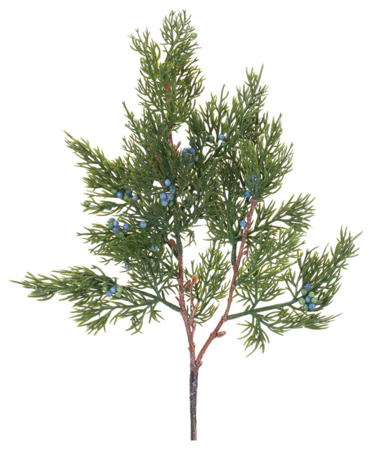 Pine Spray, Set of 12 - Traditional - Christmas Decorations - by ...