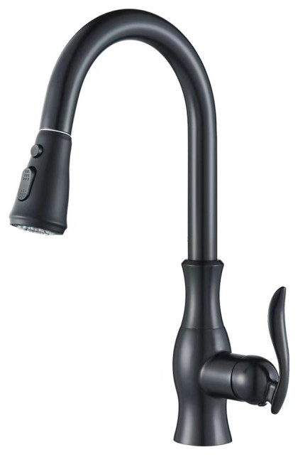 Extendable Pull Out Kitchen Sprayer Mixer Tap - Transitional - Kitchen ...