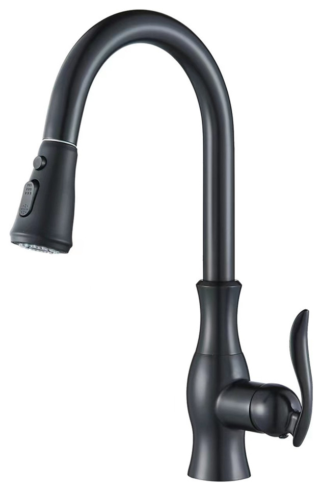 Extendable Pull Out Kitchen Sprayer Mixer Tap - Transitional - Kitchen ...