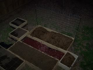 The Accidental Compost Pile