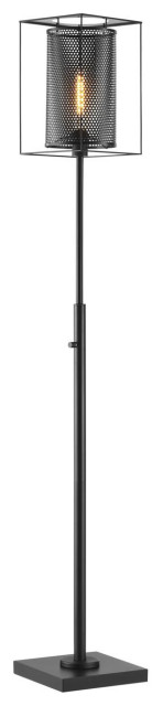 Stein 1 Light Floor Lamp, Black - Industrial - Floor Lamps - by Lighting New York | Houzz