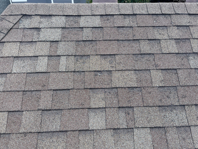 Malarkey Legacy - Natural Wood - Classique - Façade - Denver - par ...