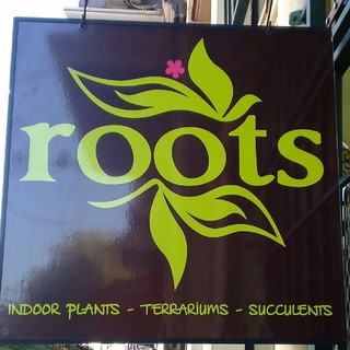 ROOTS - Project Photos & Reviews - San Francisco, CA US | Houzz