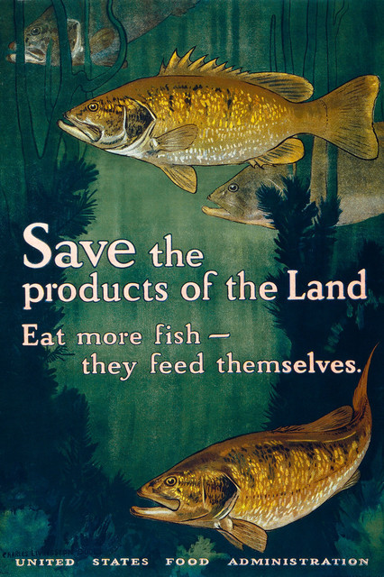 Eat More Fish Print, 8" x 10" - Contemporary - Prints And Posters - by ...