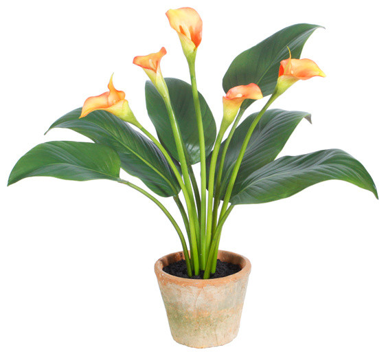Petite Potted Faux Calla Lily, Sunset - Contemporary - Artificial ...