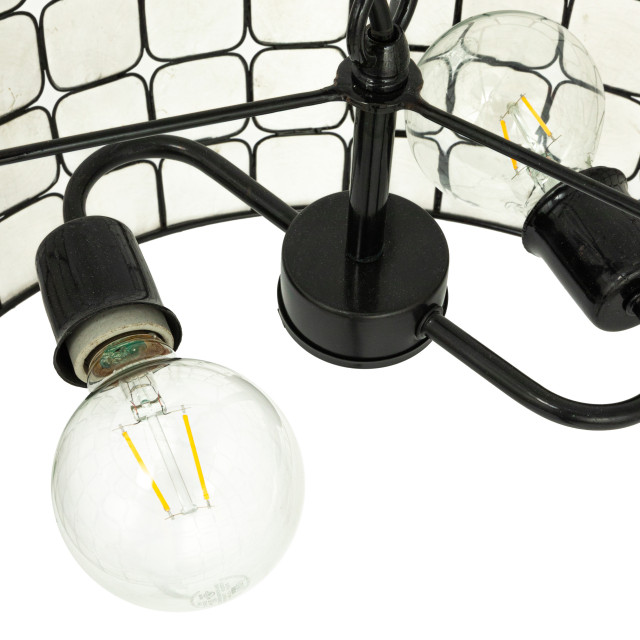 Capiz Shell Pendant Lamp, Black - Beach Style - Pendant Lighting - by ...