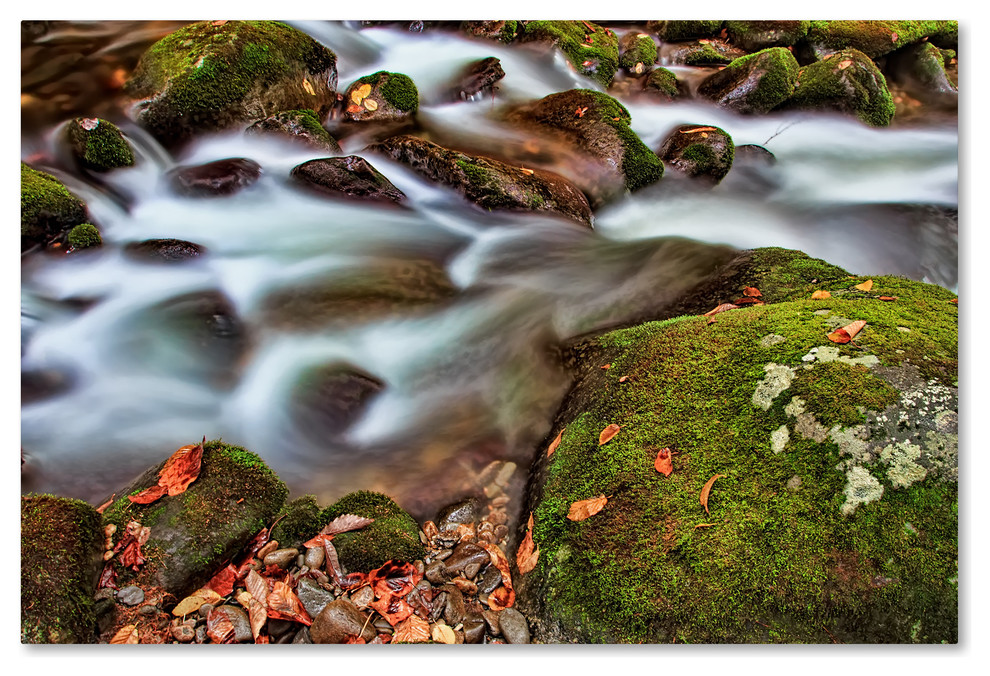Bob Rouse 'Rocks And Leaves' Canvas Art, 22"x32" - Rustic - Prints And ...