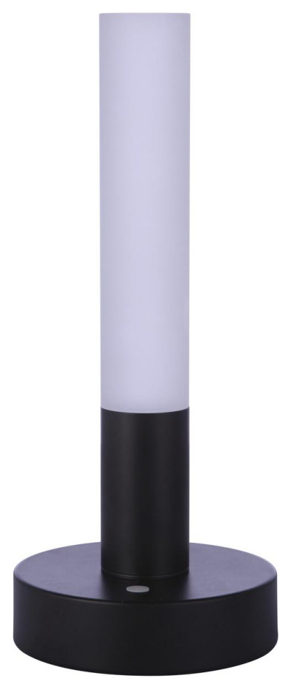 Rechargable Portable LED Table Lamp, Flat Black - Transitional ...