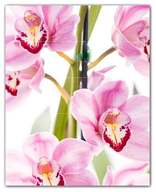 Flowers Ceramic Tile Wall Mural HZ500659, 32" Wide x 40" High ...