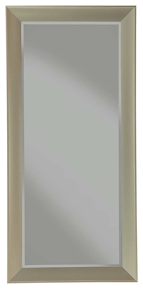 Contemporary Full Length Leaner Mirror With Polystyrene Frame, Brushed ...