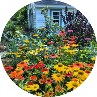 THE LAUGHING EARTH - Project Photos & Reviews - Wilmington, DE US | Houzz