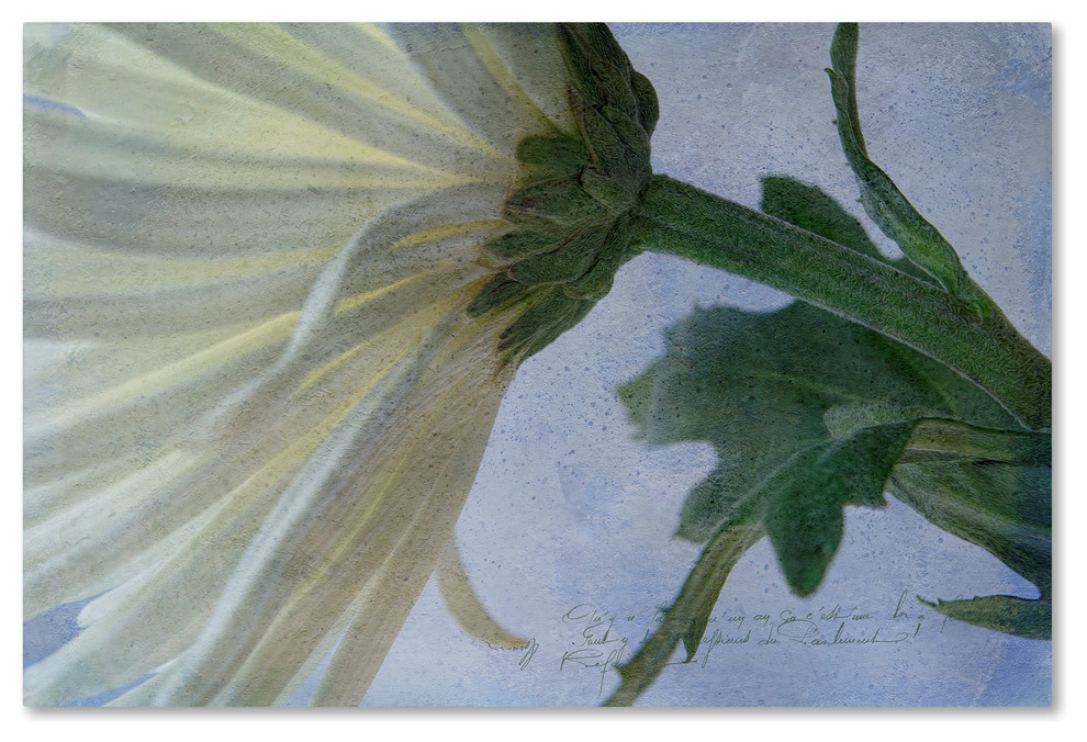 Bob Rouse 'Fuji Green' Canvas Art, 12"x19" - Contemporary - Prints And ...