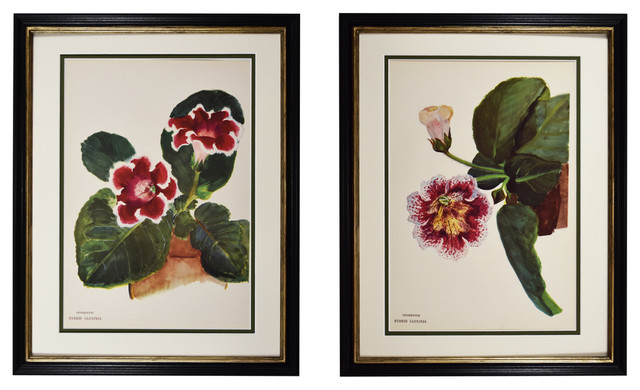 Original Vintage Paris Botanical Flower Framed Print, Set of 2 ...
