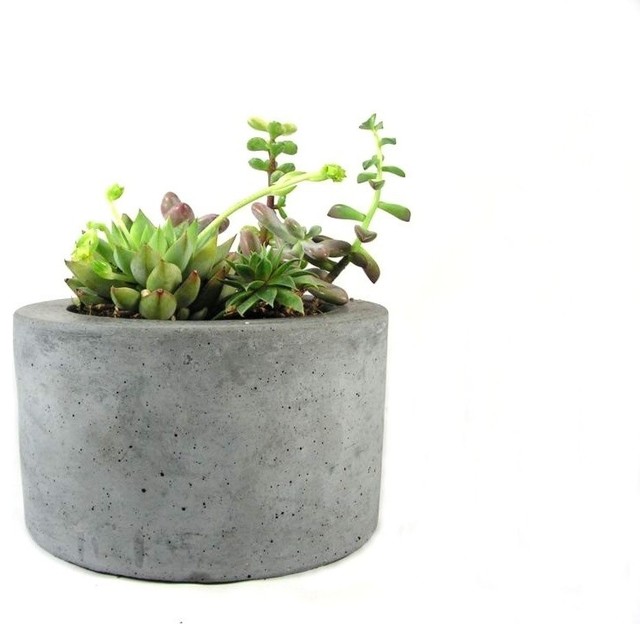 Round Concrete Planter - Industrial - Indoor Pots And Planters - by ...
