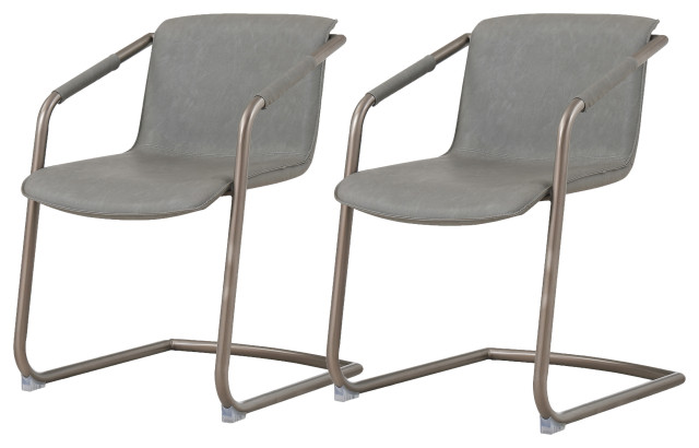 Indy Dining Side Chair, Set of 2 - Contemporary - Dining Chairs - by ...