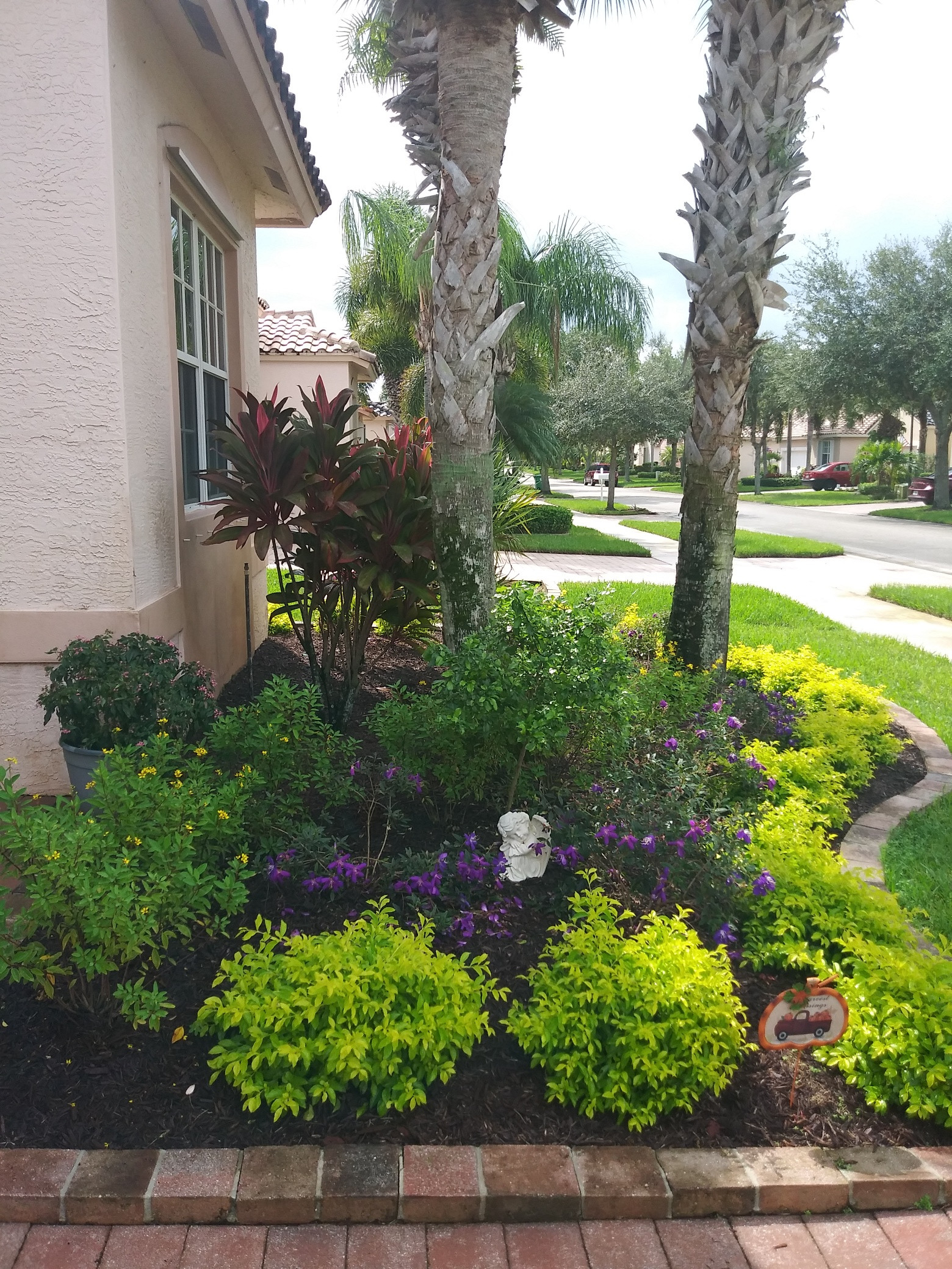 Duranta Gold Mound Skyflower Collection Discounts | www.oceanproperty.co.th