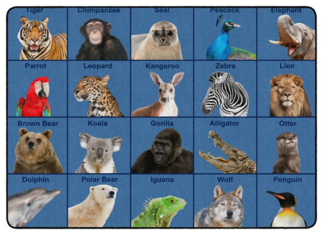 Flagship Carpets FA1268-44FS 7'6x12 Zoo Animal Seating Rug, 7'6X12 ...