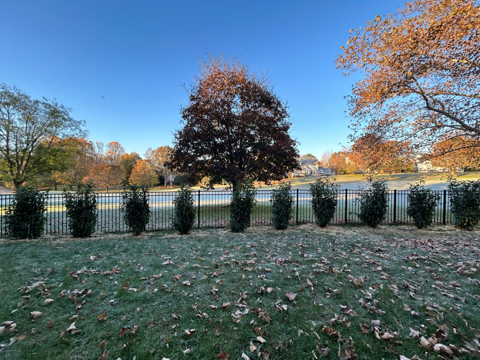 Skip Laurel Hedge Spacing | Houzz Forum
