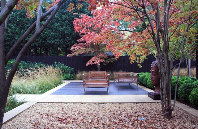 How to Use One-off Special Trees to Add Wow to Your Garden | Houzz UK