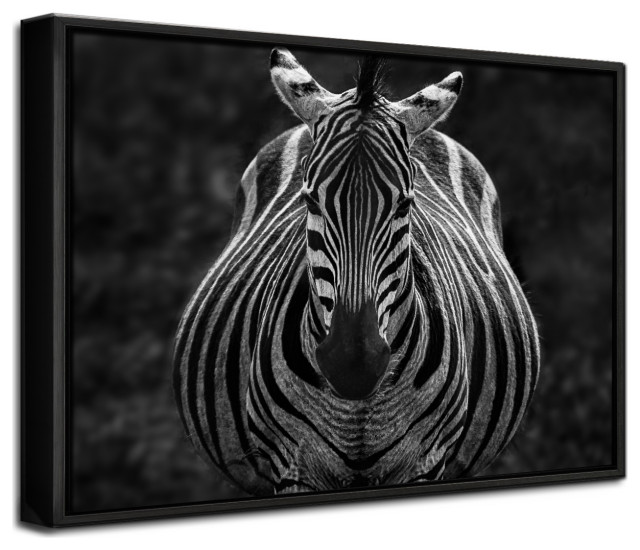 'Stare' Wrapped Canvas Wall Art by Jiong Chen, 12" W x 8" H ...