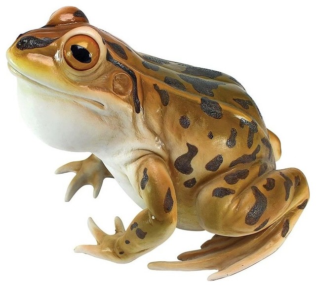 Puffy Necked Frog Statue - Traditional - Garden Statues And Yard Art ...