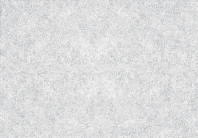 Rice Paper Window Premium Film Set of 2 - Contemporary - Window Film ...