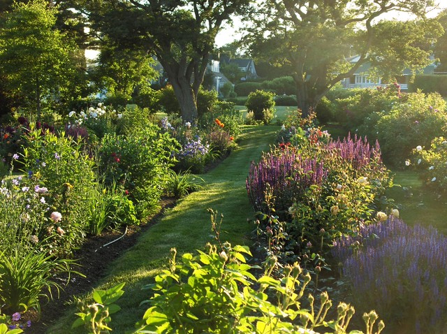 The Garden Guide: What to Look for in Your New Home | Houzz AU