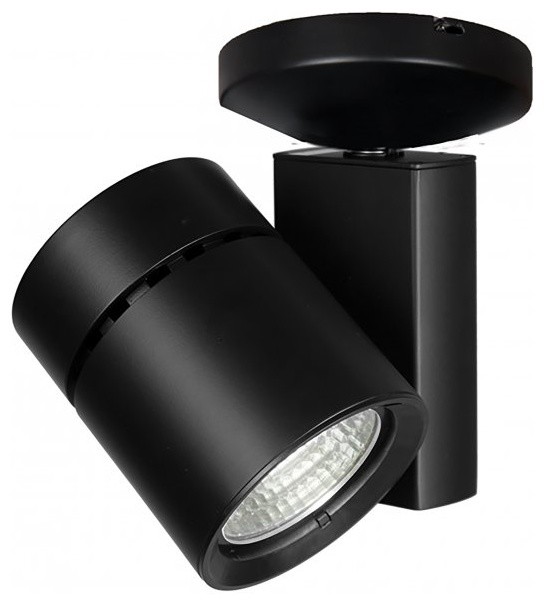 52W Exterminator II LED Energy Star Monopoint Narrow Beam 4000K, Black ...