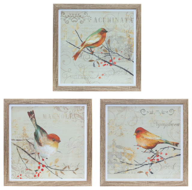 Framed Bird Print, 3-Piece Set - Contemporary - Prints And Posters - by ...