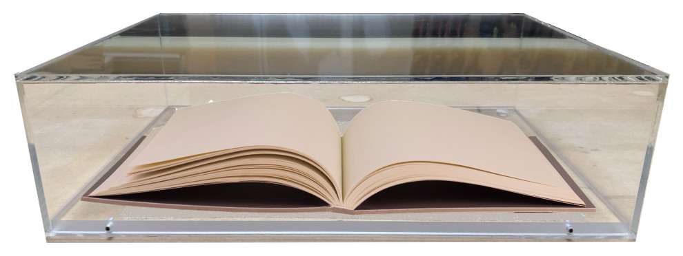 Book Display Case - Contemporary - Decorative Objects And Figurines ...