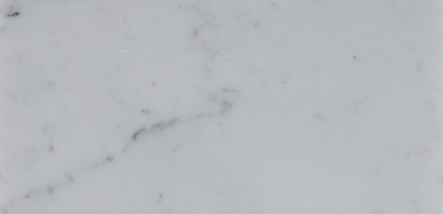 MSI T36P 3" x 6" Rectangle Floor and Wall Tile - Polished Visual ...