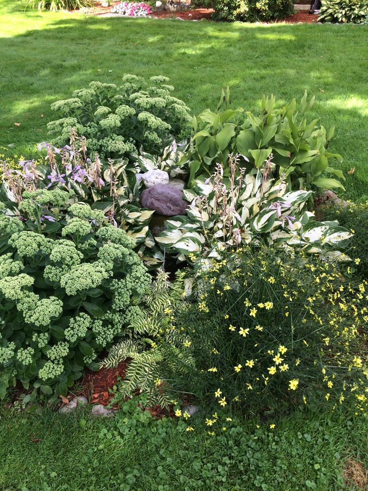 Crowded perennial bed