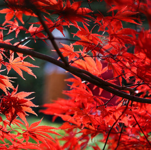 RED ROOTS - Project Photos & Reviews - Oklahoma City, OK US | Houzz